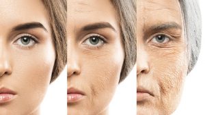 Dynamics of the Ageing Process